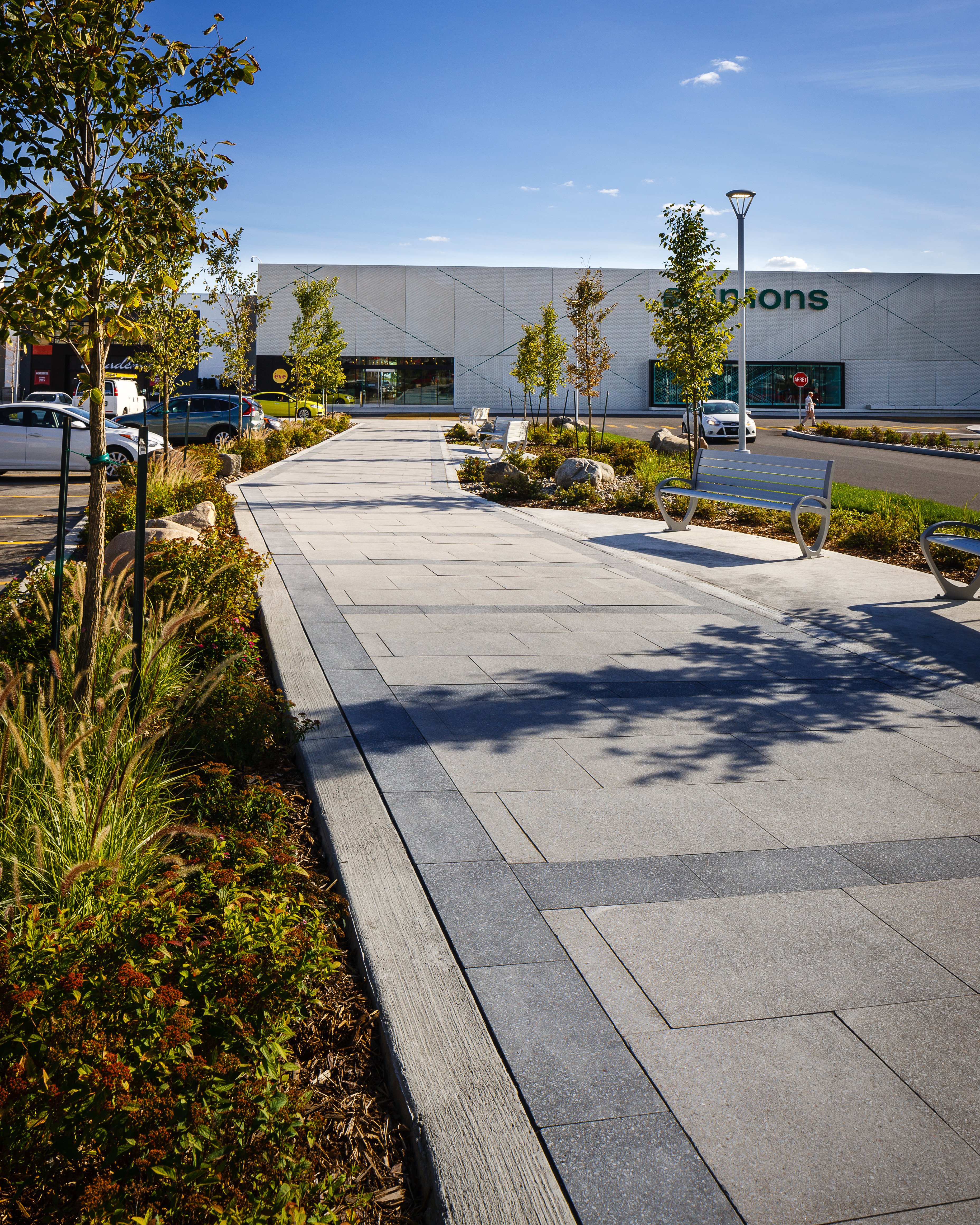 How Landscape Architects Can Lessen the Environmental Impact of ...